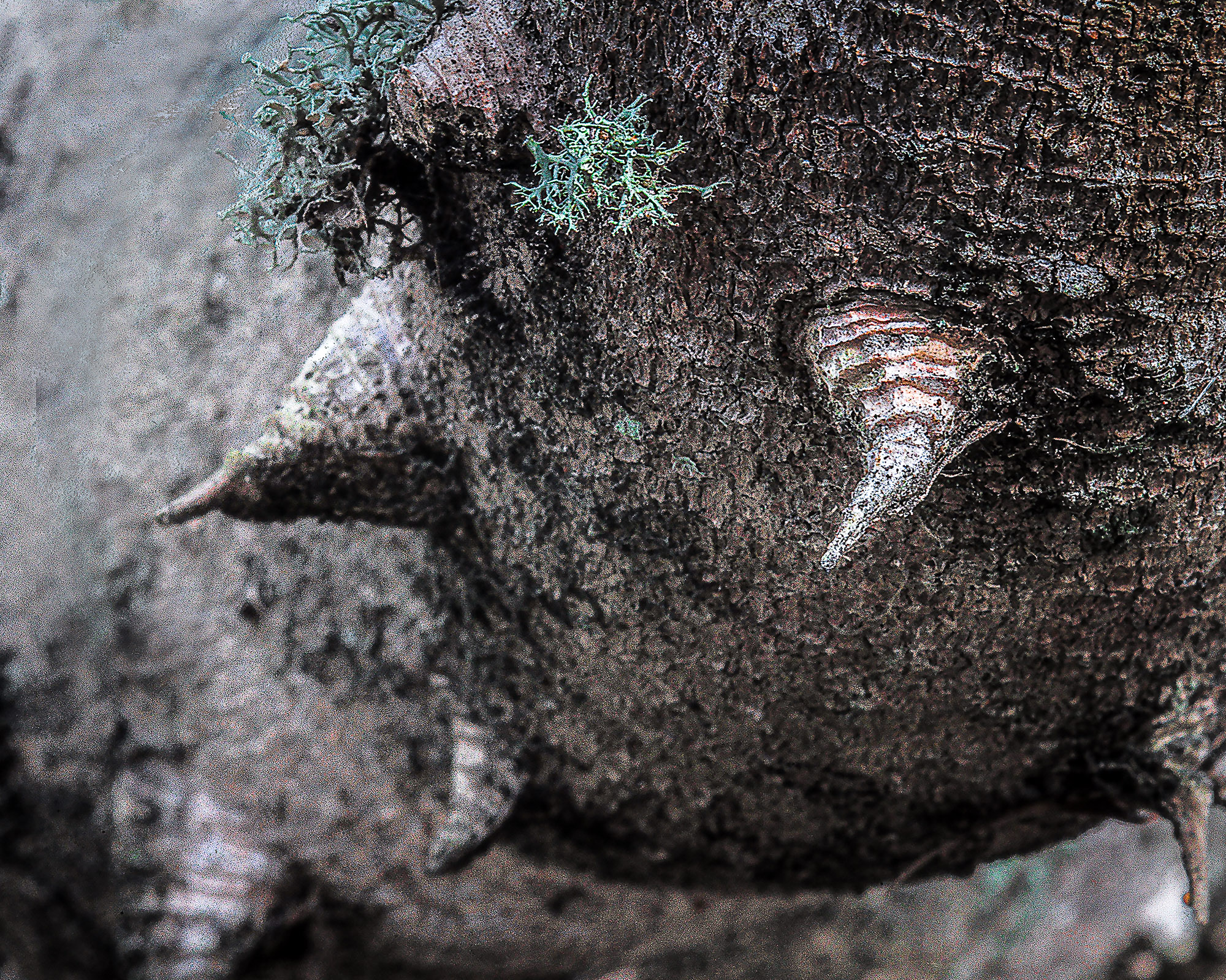 Abstracts – alneyman.com